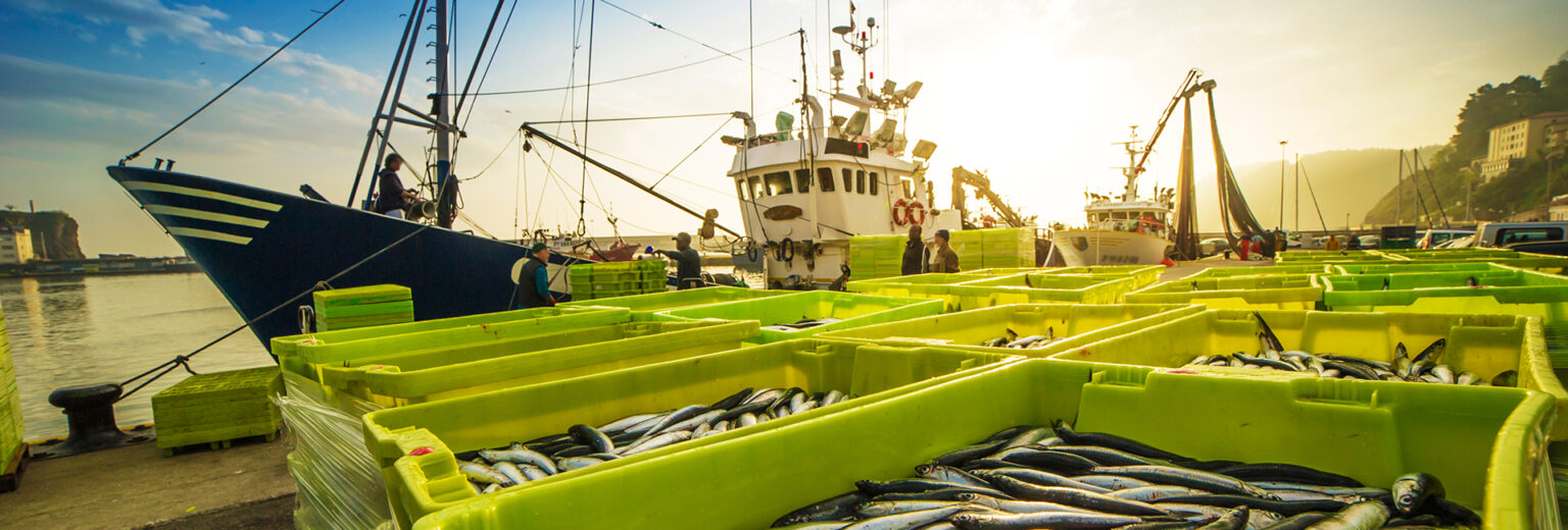 A Guide To Anti-Piracy Services For Shipping Companies – Felix JPalma